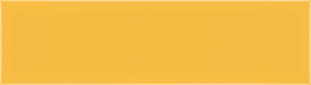 COLOR MIND - Decortiles USA