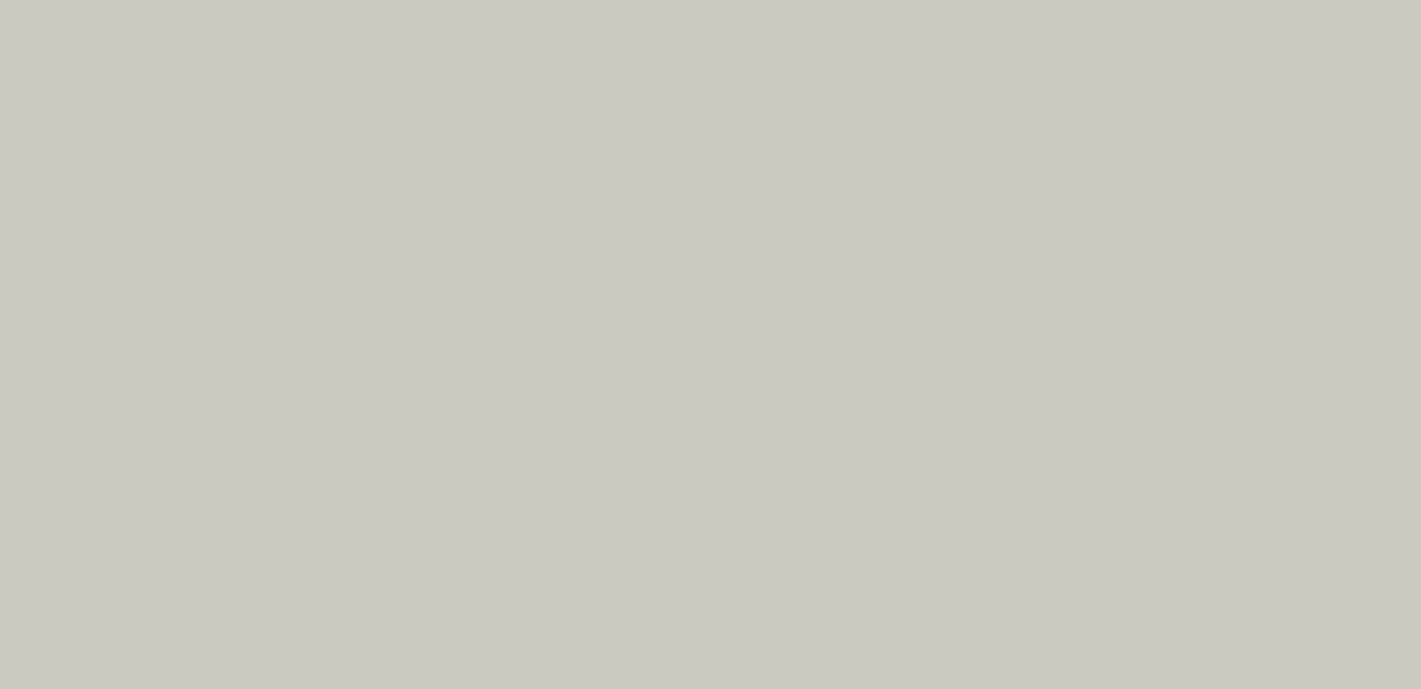 Signature Gris GLOSS - Decortiles